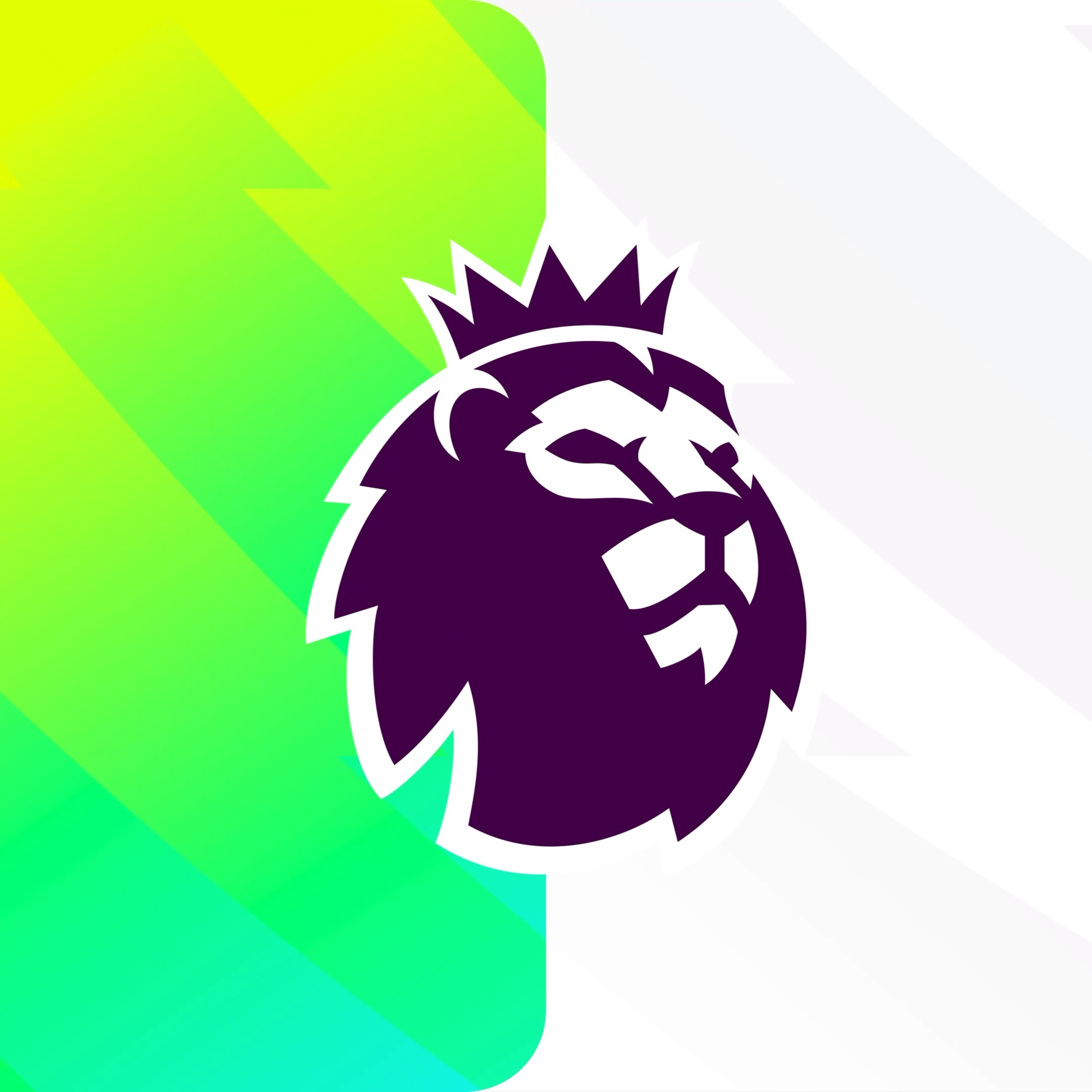 Premier league logo store